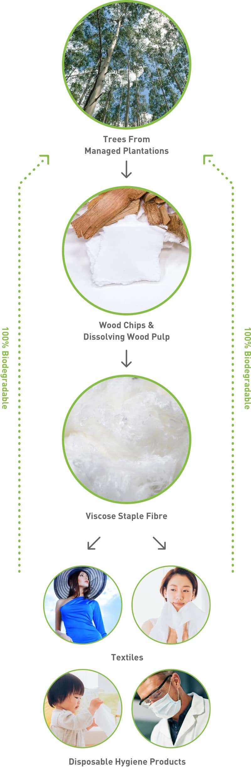 Viscose Fibre - Sateri